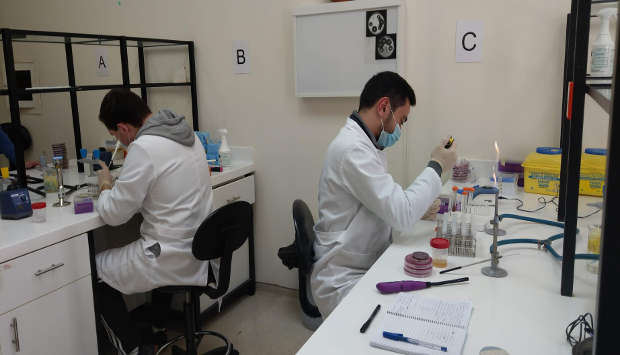 Lebanon’s researchers face tough choices - Features - Nature Middle East