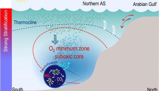 Tracking oxygen depletion in the Arabian Sea - News - Nature Middle East