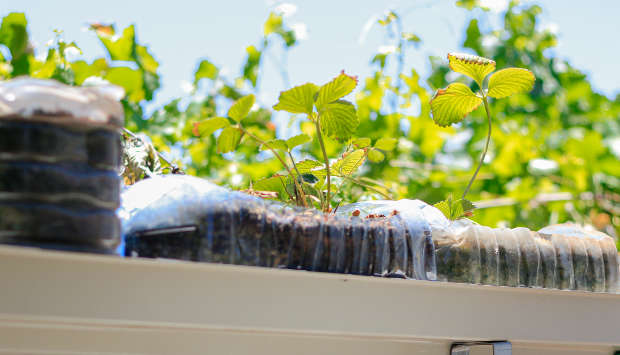 Setting the ground rules for water reuse in Lebanon - Features - Nature ...