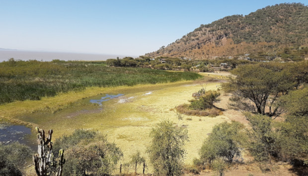 Hybrid machine learning models transform rainfall-runoff predictions in ...